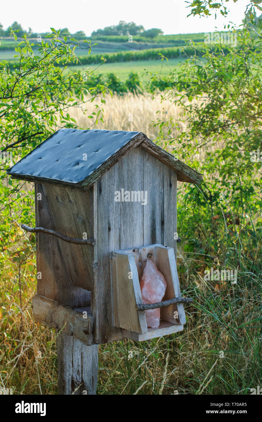 Jagdpflege hi-res stock photography and images - Alamy