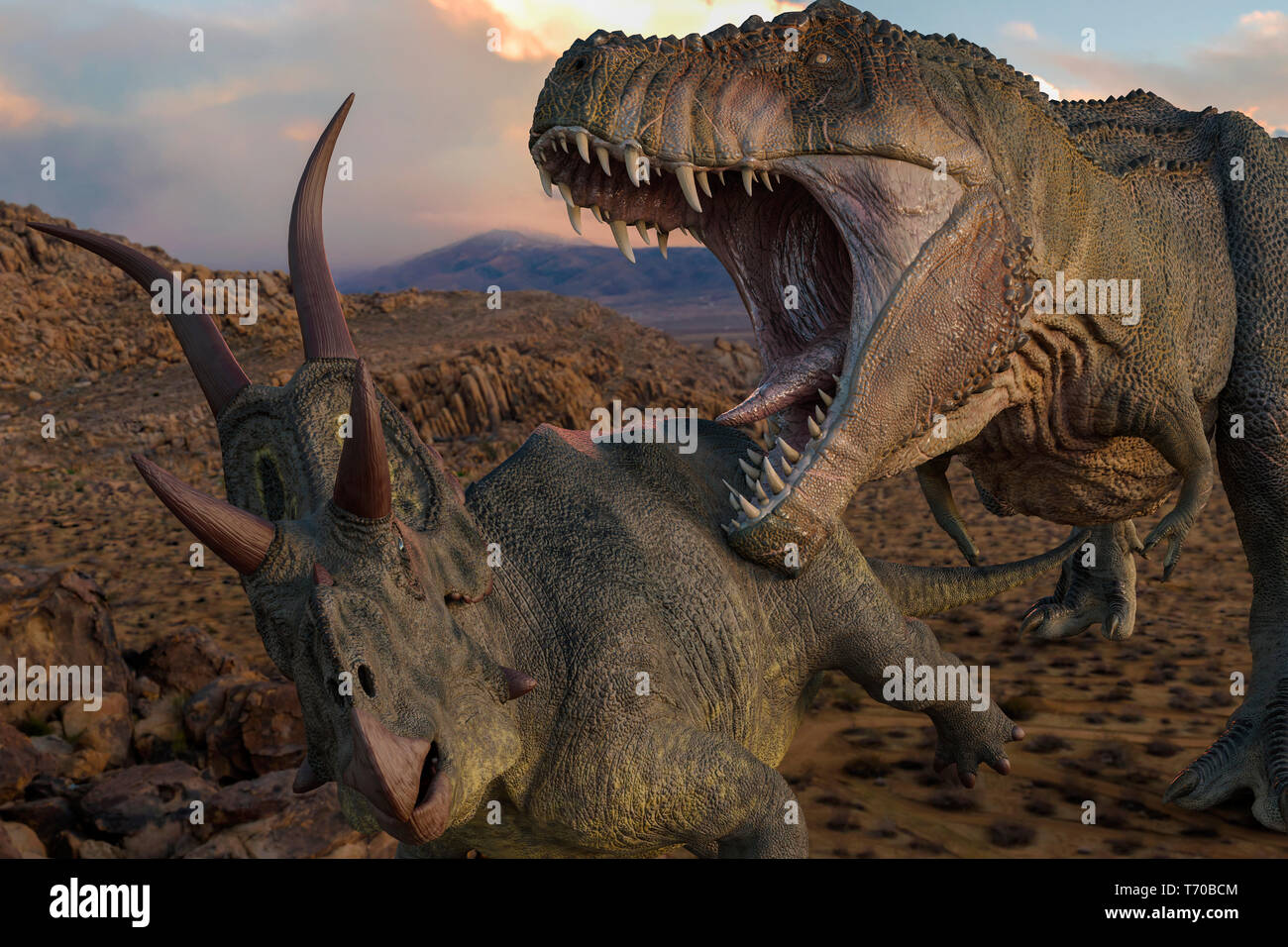 t-rex vs diabloceratops , will put some fun at yours creations Stock ...