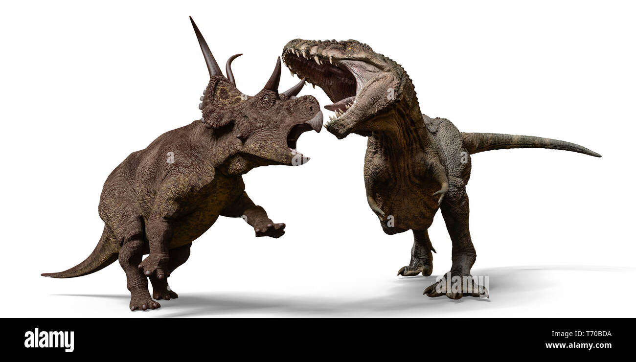 t-rex vs diabloceratops , will put some fun at yours creations Stock ...