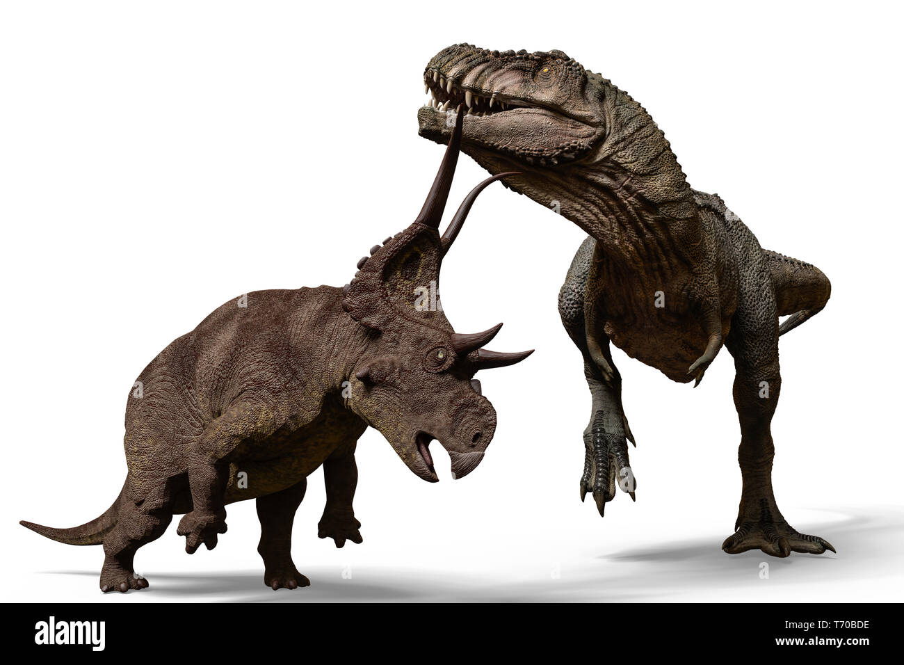 t-rex vs diabloceratops , will put some fun at yours creations Stock ...