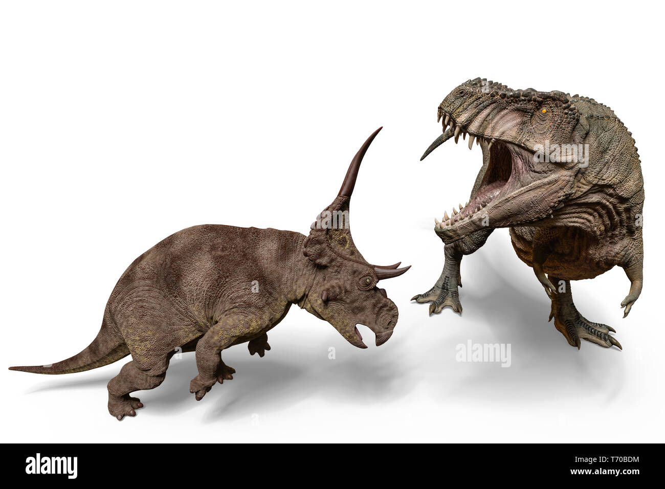 t-rex vs diabloceratops , will put some fun at yours creations Stock ...