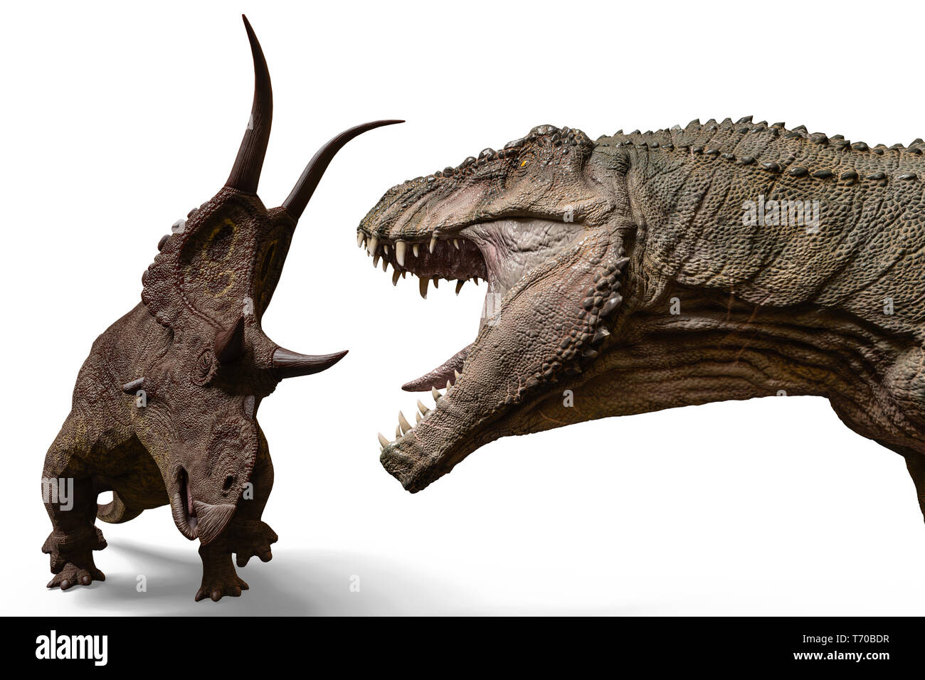 Diabloceratops hi-res stock photography and images - Alamy