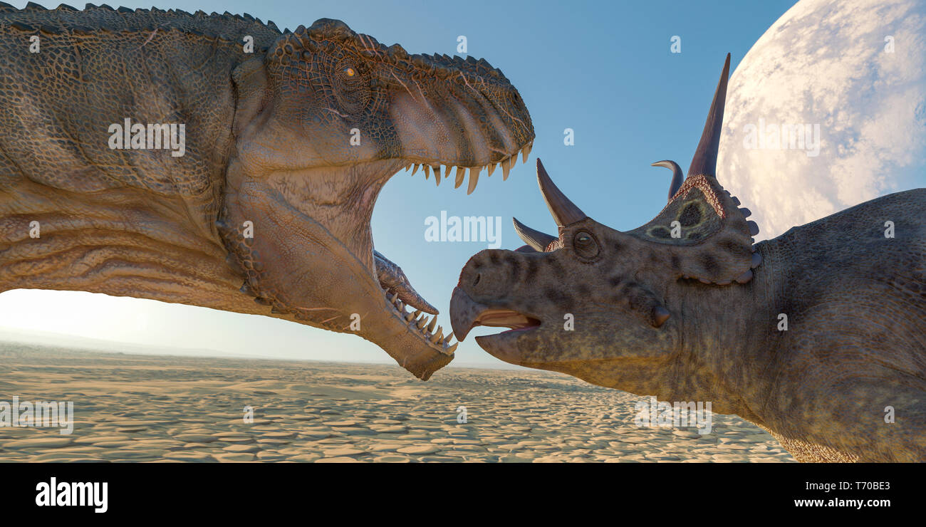 t-rex vs diabloceratops , will put some fun at yours creations Stock ...