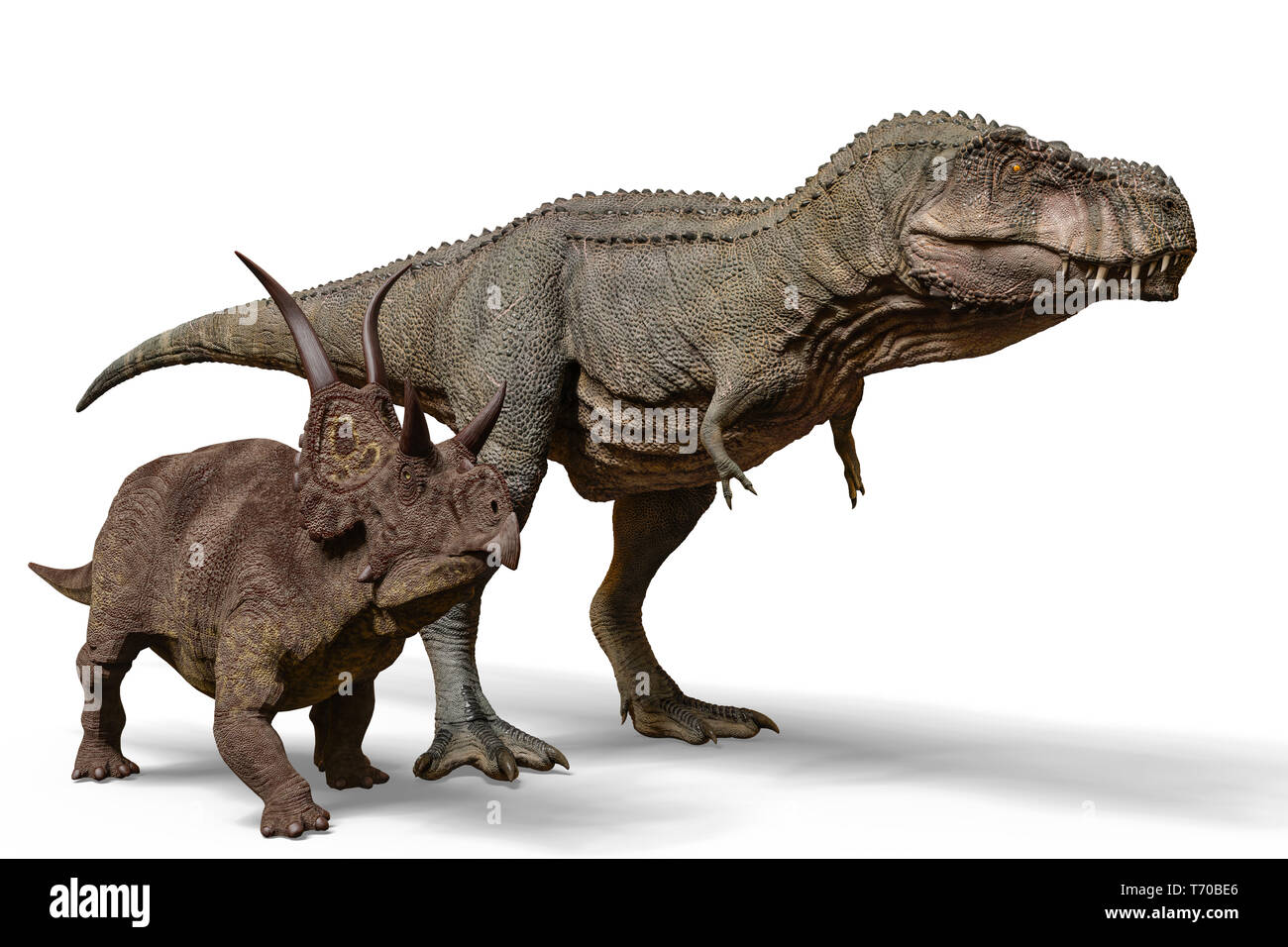 t-rex vs diabloceratops , will put some fun at yours creations Stock ...