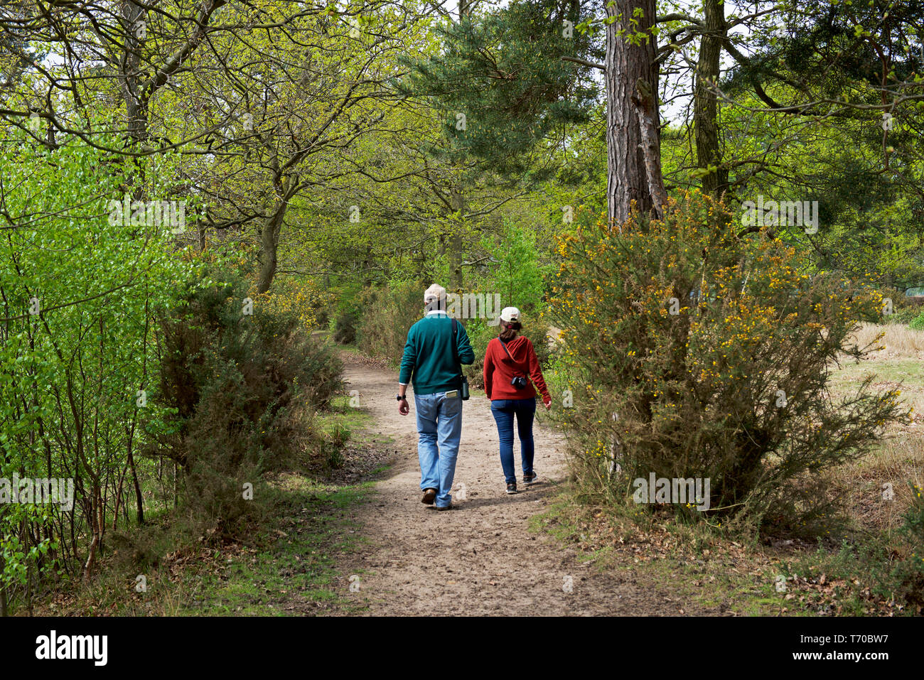 Couple walking, Skipwith Common National Nature Reserve, North ...