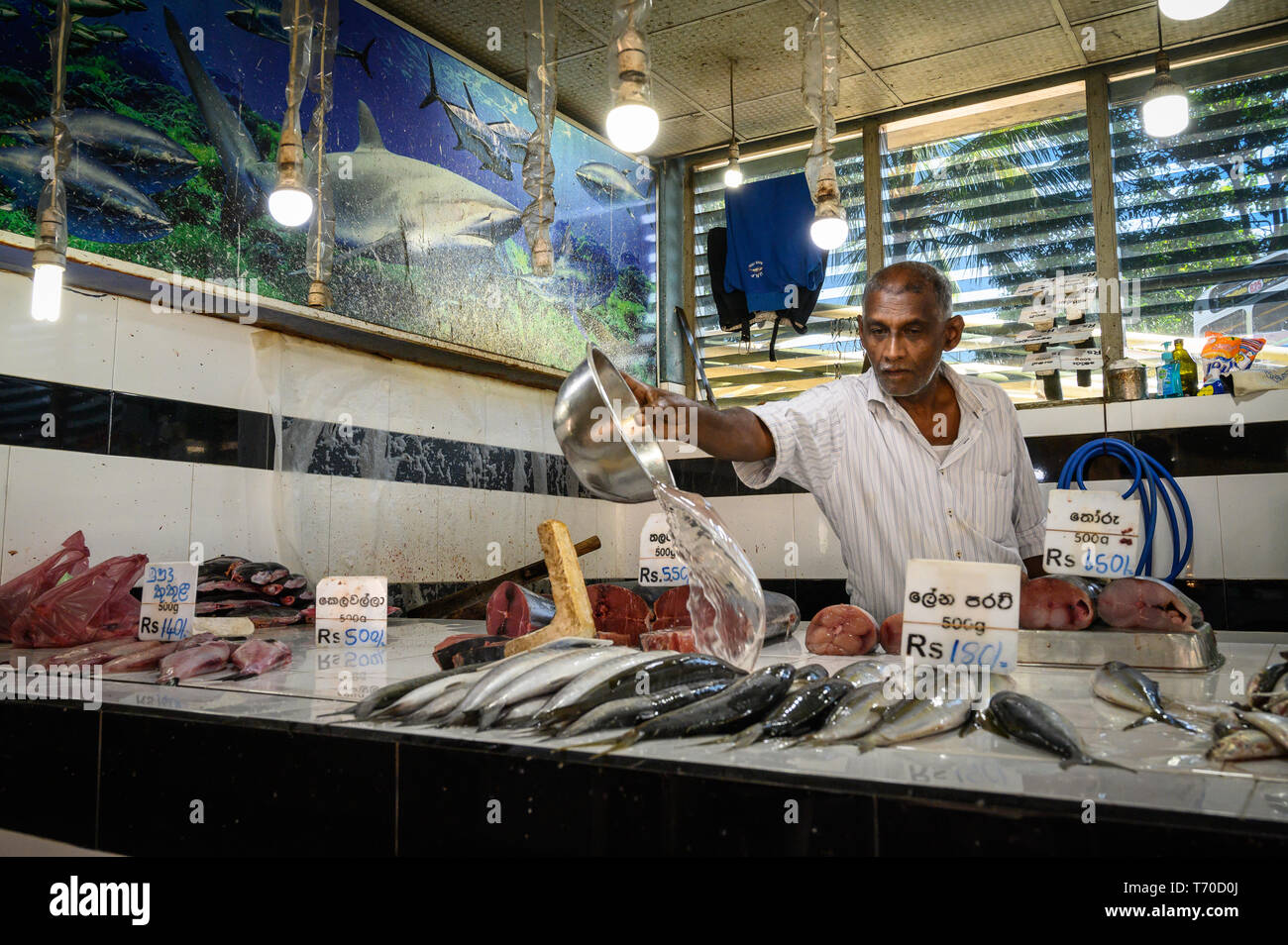 Fishmonger at his stand in Kandy Municipal Central Market, Kandy, Sri ...