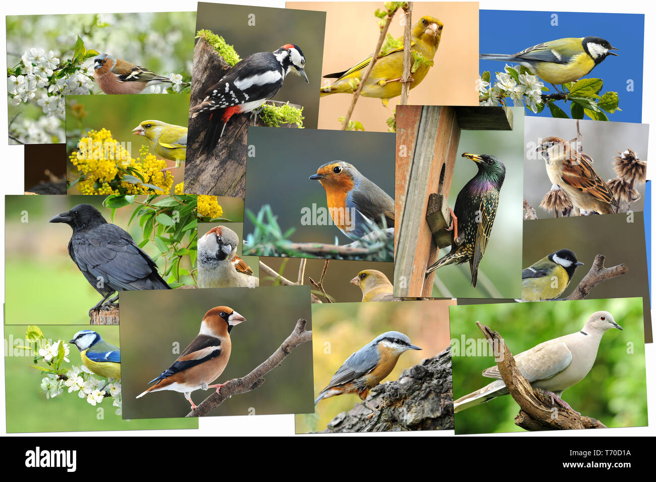 Phto hi-res stock photography and images - Alamy