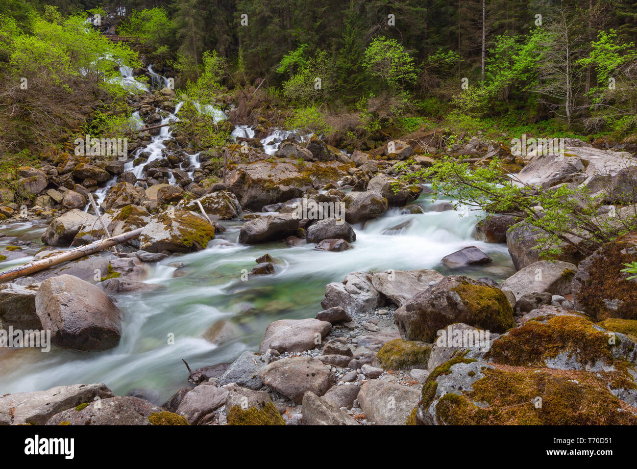 Spring in mountains in forest hi-res stock photography and images - Alamy