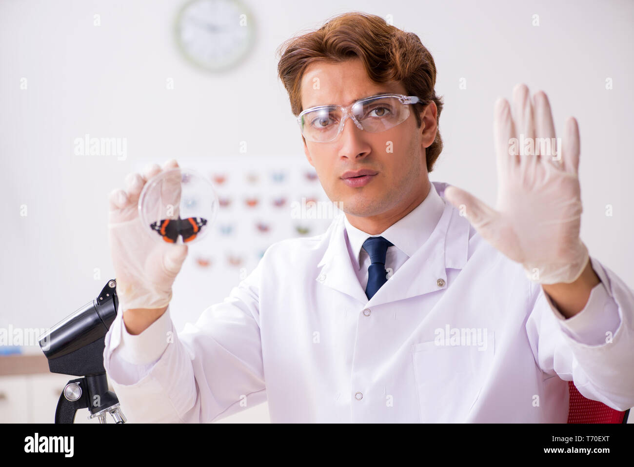 Entomologist microscope hi-res stock photography and images - Alamy