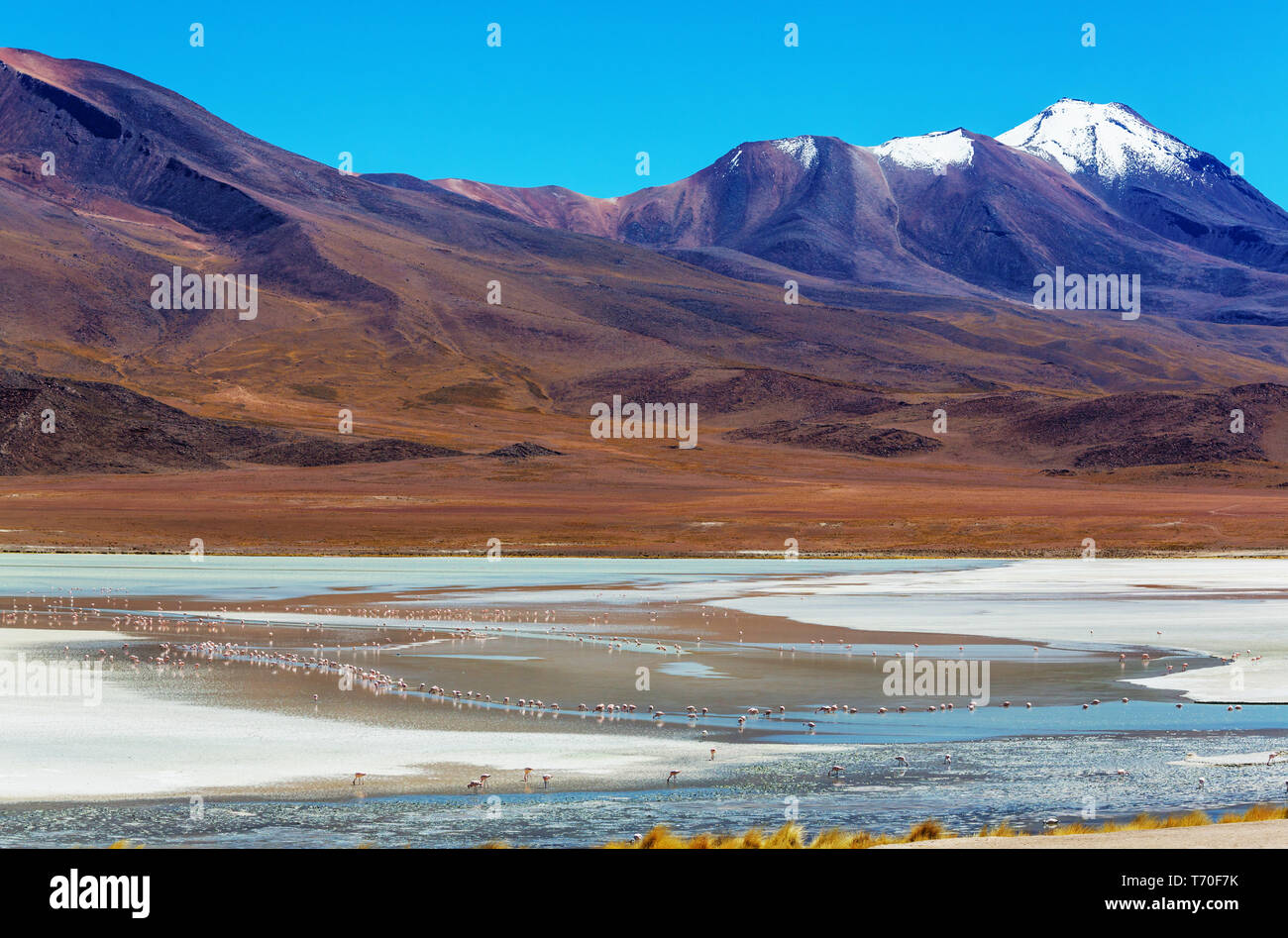 Mountains in bolivia hi-res stock photography and images - Alamy