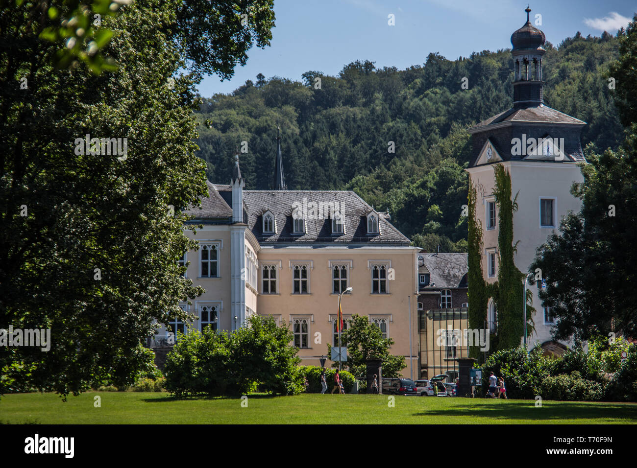Castle Sayn in the Westerwald Stock Photo - Alamy