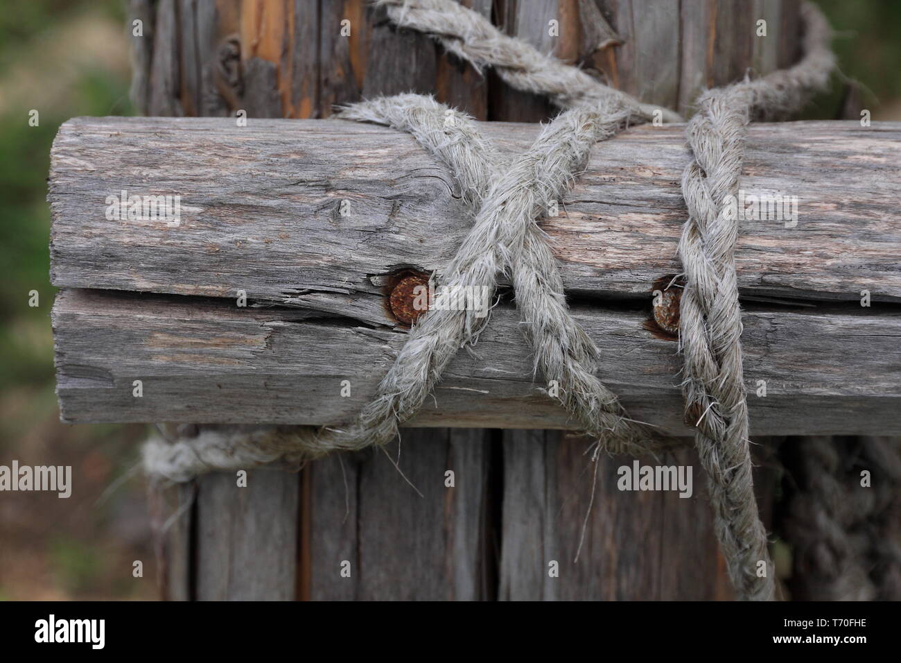 Connection and strong hi-res stock photography and images - Alamy