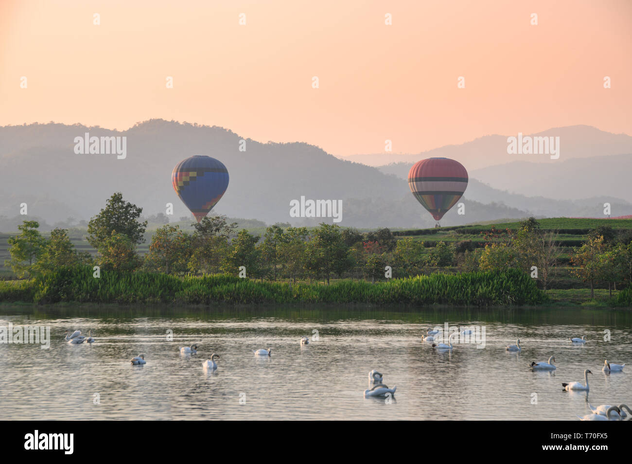 Balloon on field hi-res stock photography and images - Alamy
