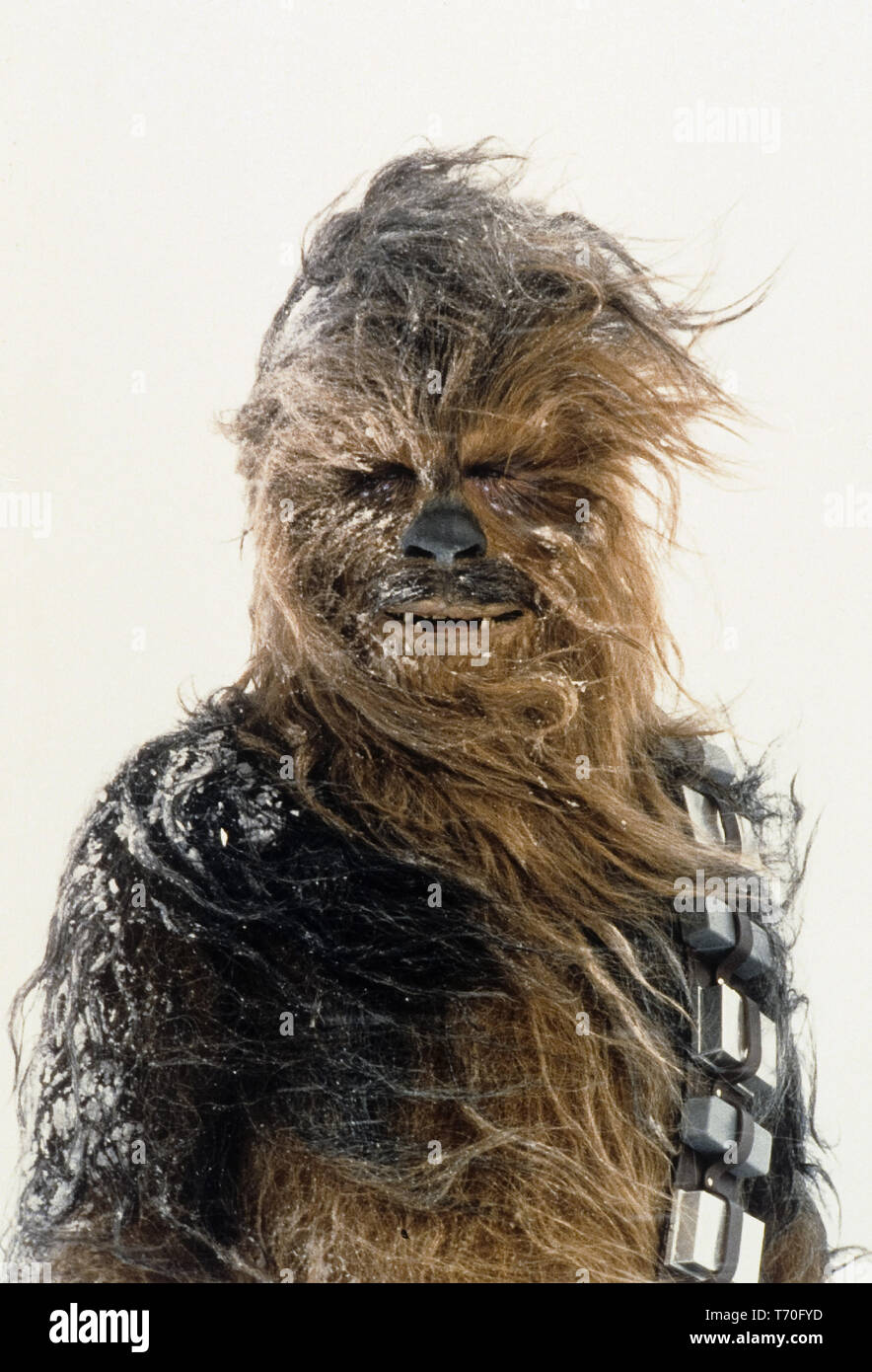 Peter Mayhew as Chewbacca, "Star Wars Episode V: The Empire Strikes ...