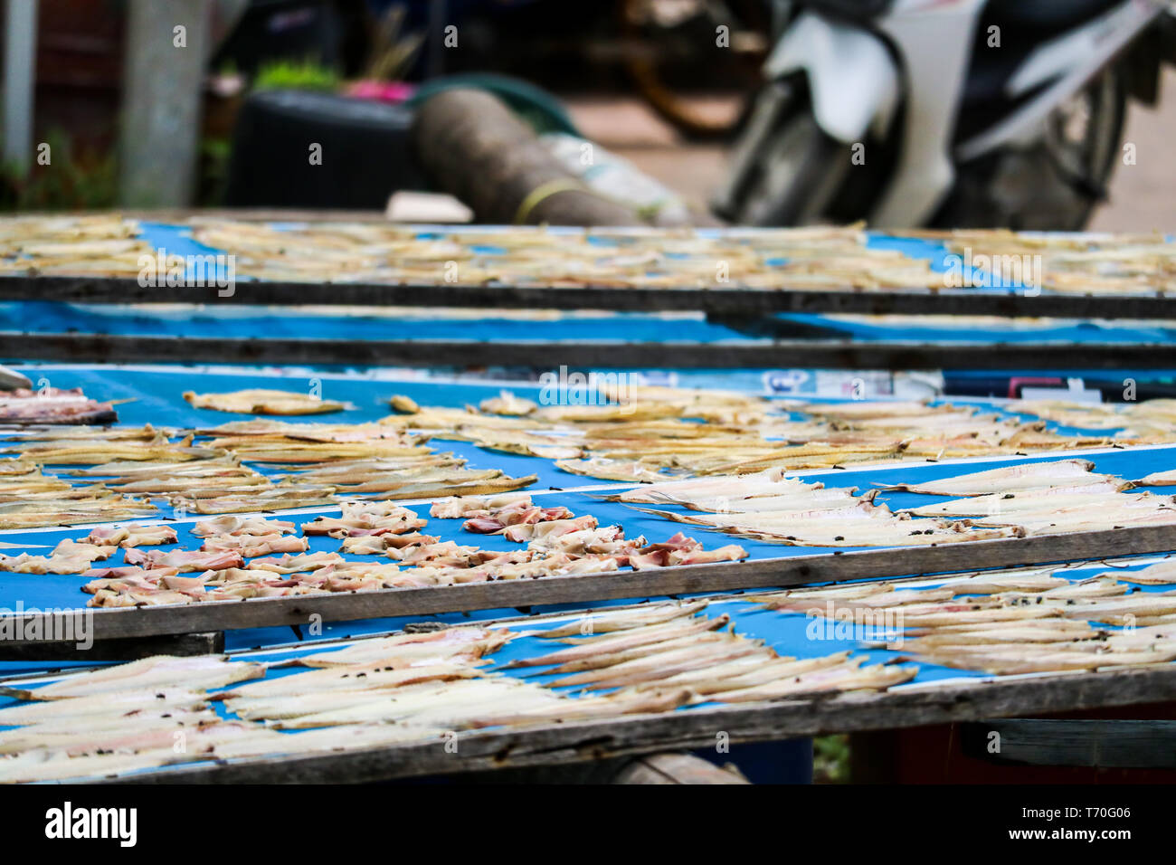 Deep dried fish is a way to preserve. may be risk of infection due to ...