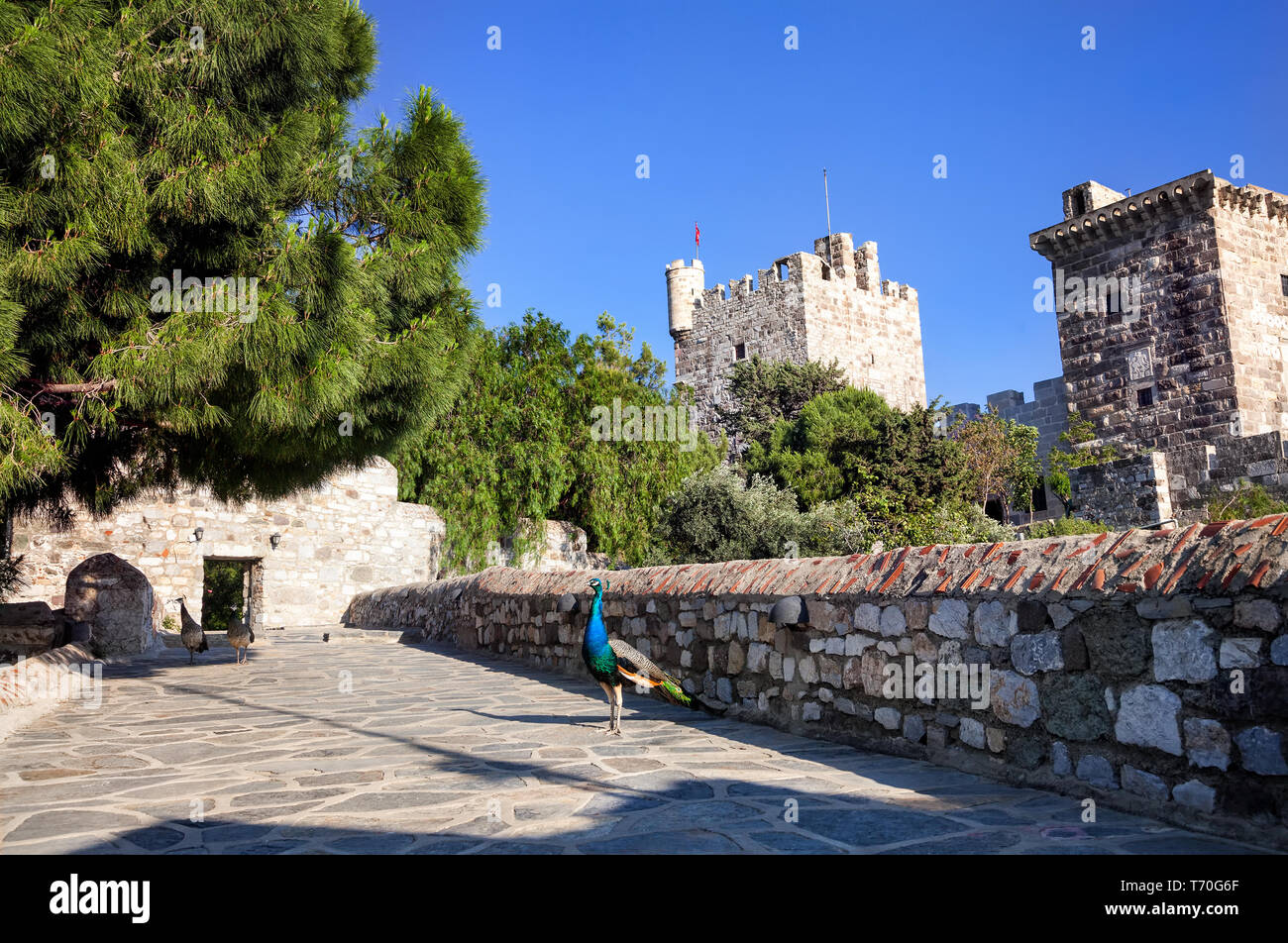 Old castle bird view hi-res stock photography and images - Alamy