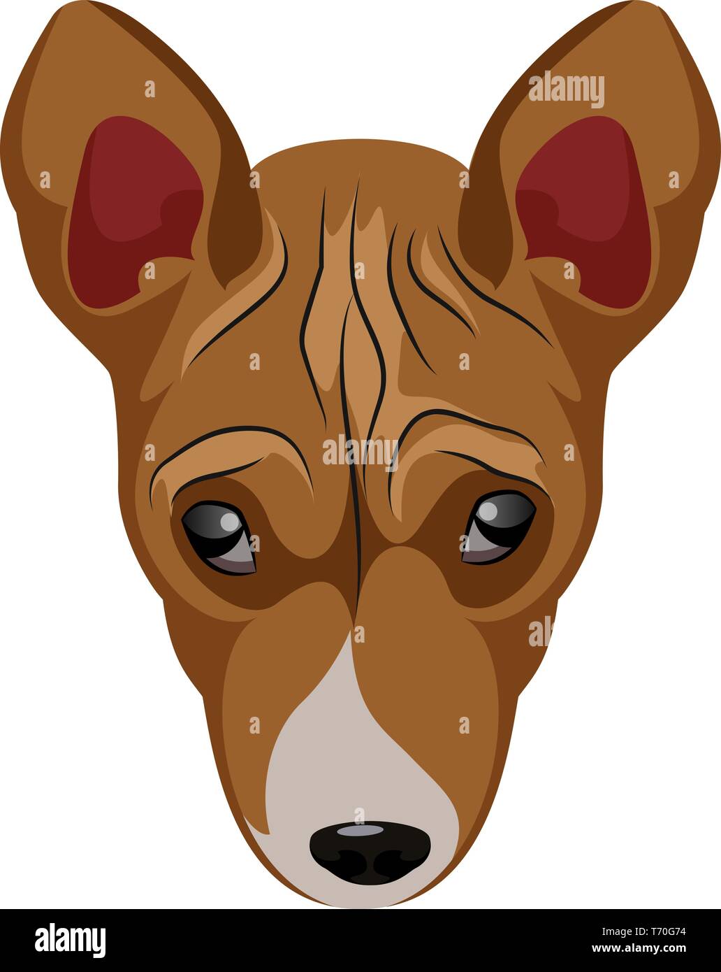 Basenji illustration vector on white background Stock Vector Image ...