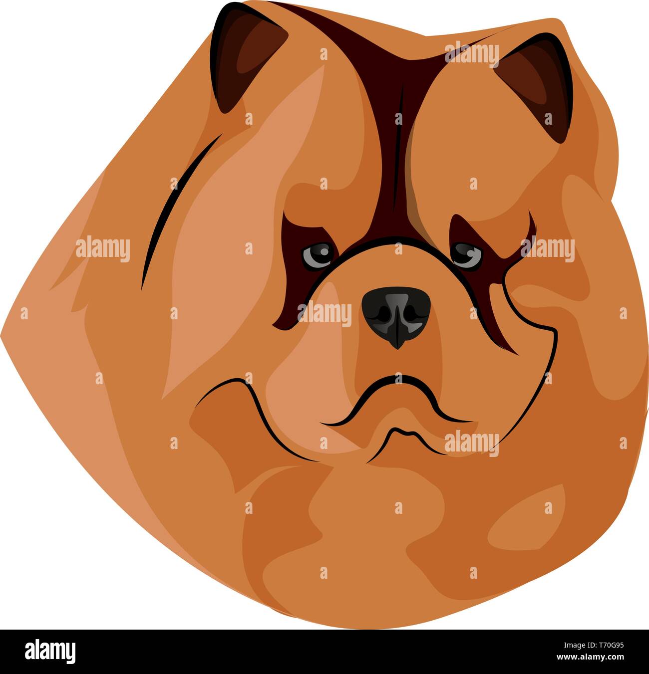 Fat Chow Chow illustration vector on white background Stock Vector ...