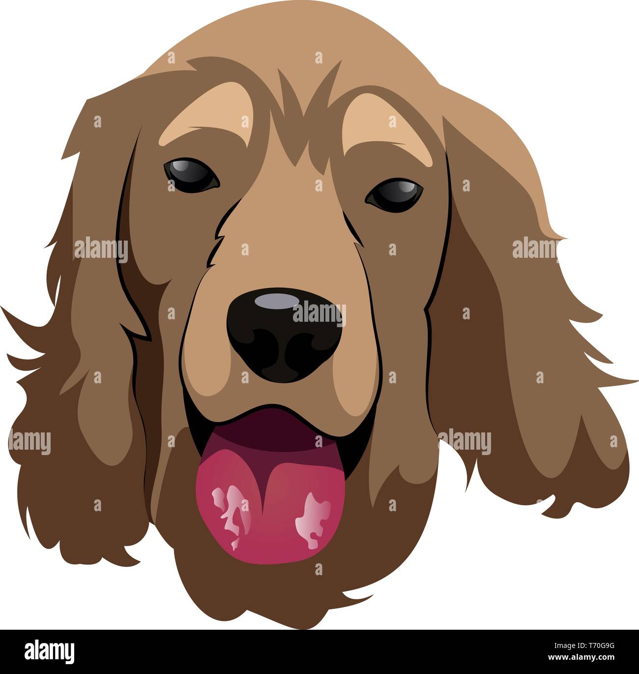 Cocker Spaniel illustration vector on white background Stock Vector ...