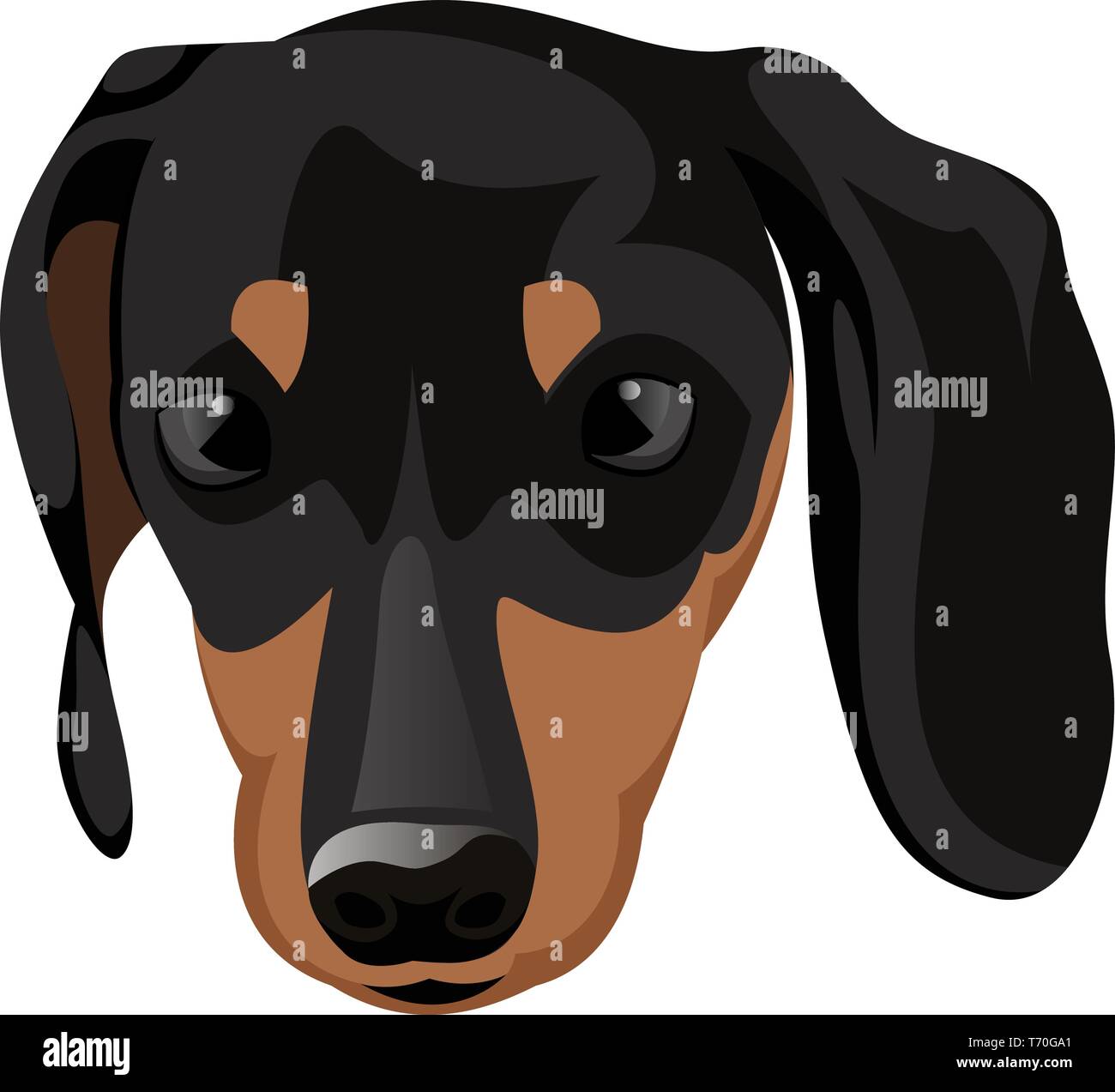 Doberman dog portrait on Stock Vector Images - Alamy