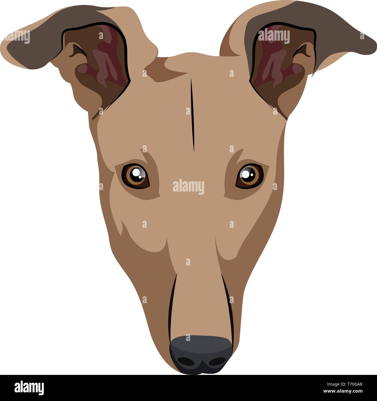 Greyhound vector vectors hi-res stock photography and images - Alamy