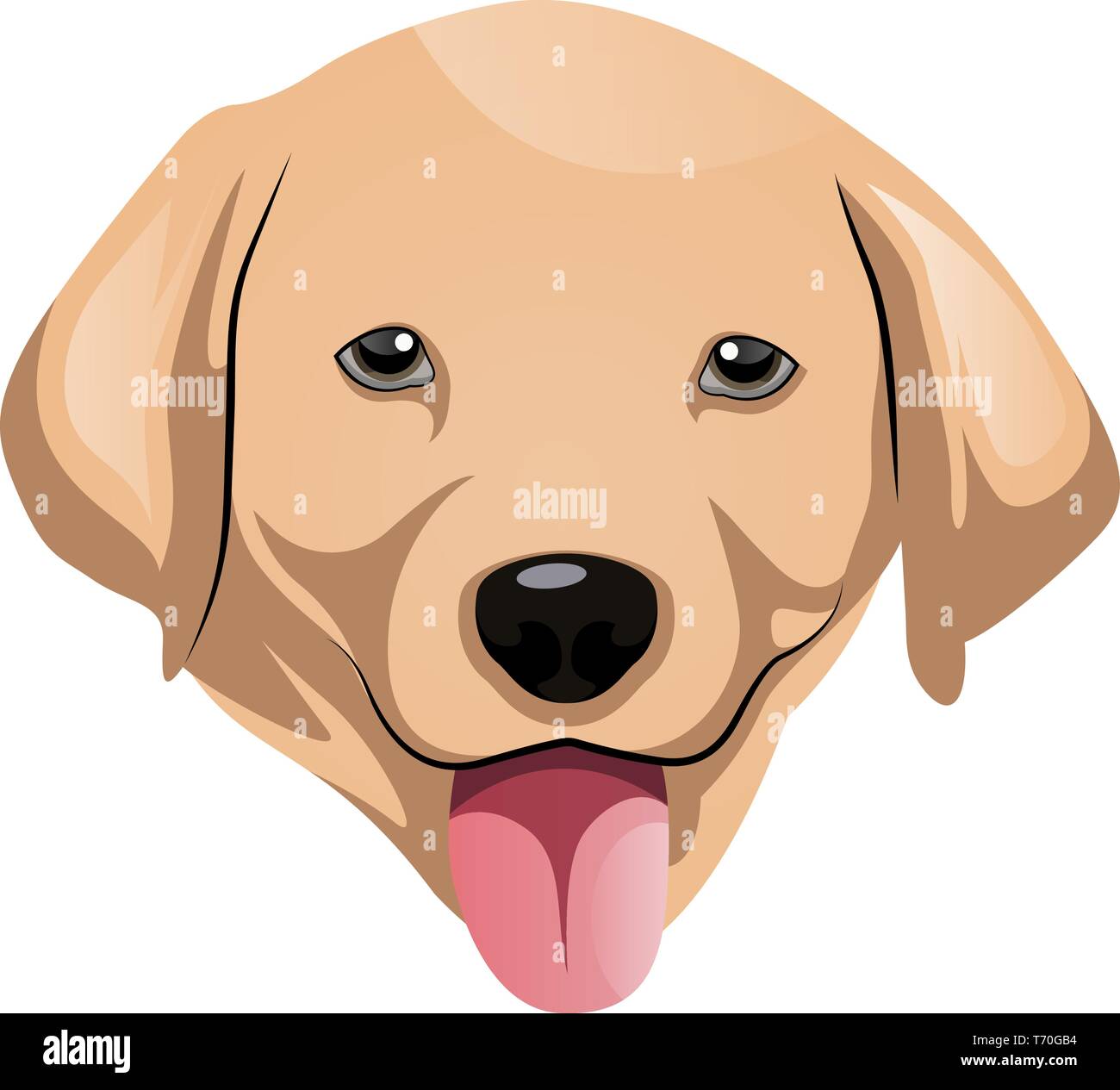Labrador illustration vector on white background Stock Vector Image ...