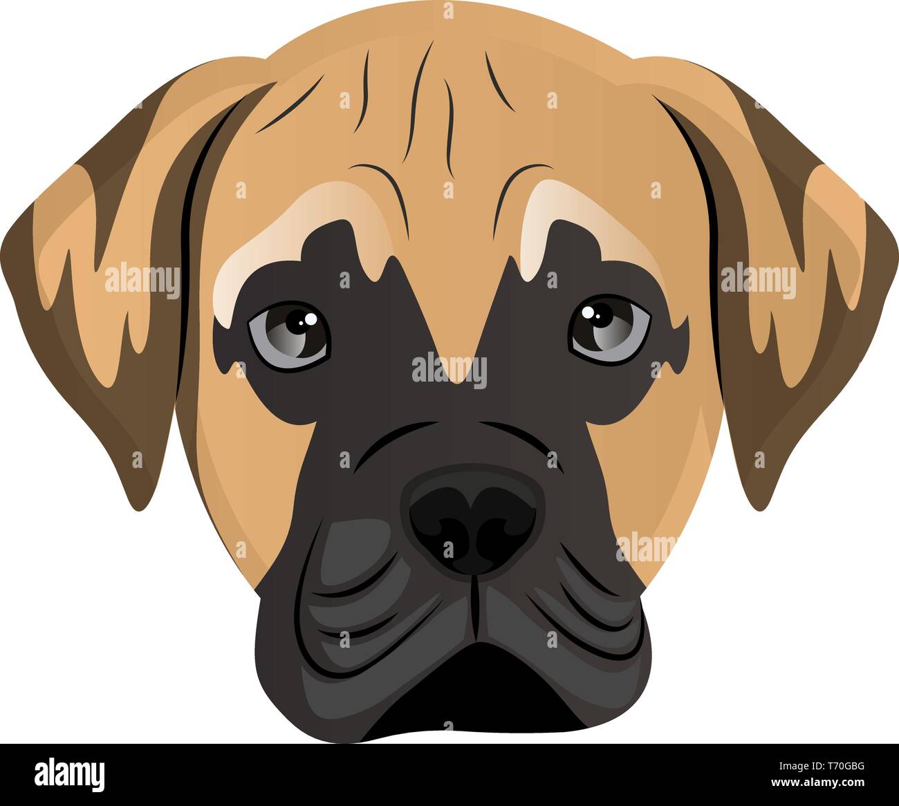 Mastiff illustration vector on white background Stock Vector Image ...