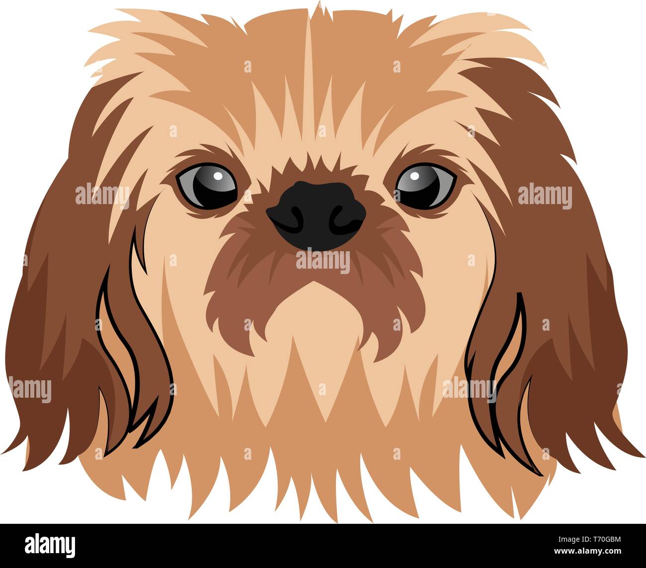 Pekingese illustration vector on white background Stock Vector Image ...