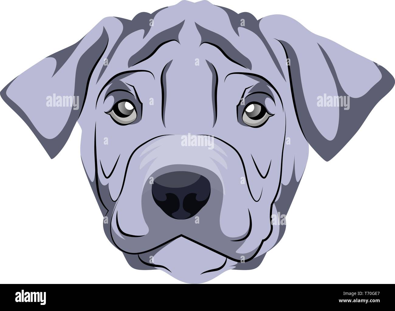 Thai Ridgeback illustration vector on white background Stock Vector ...