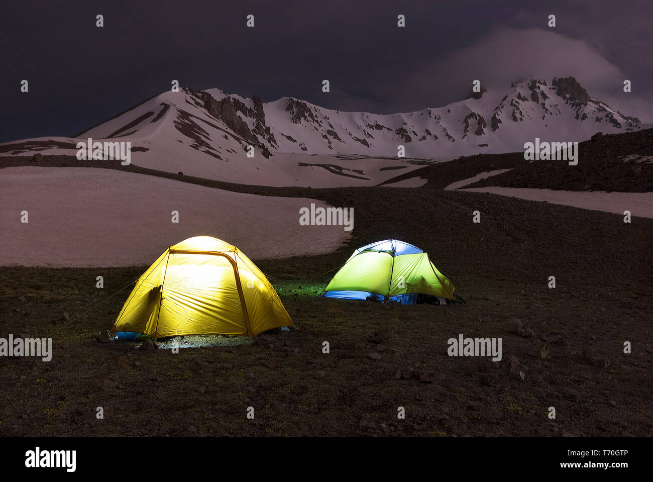 Turkey foot grass hi-res stock photography and images - Alamy