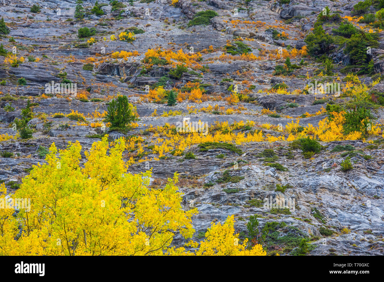 Slope of the mountain Stock Photo - Alamy