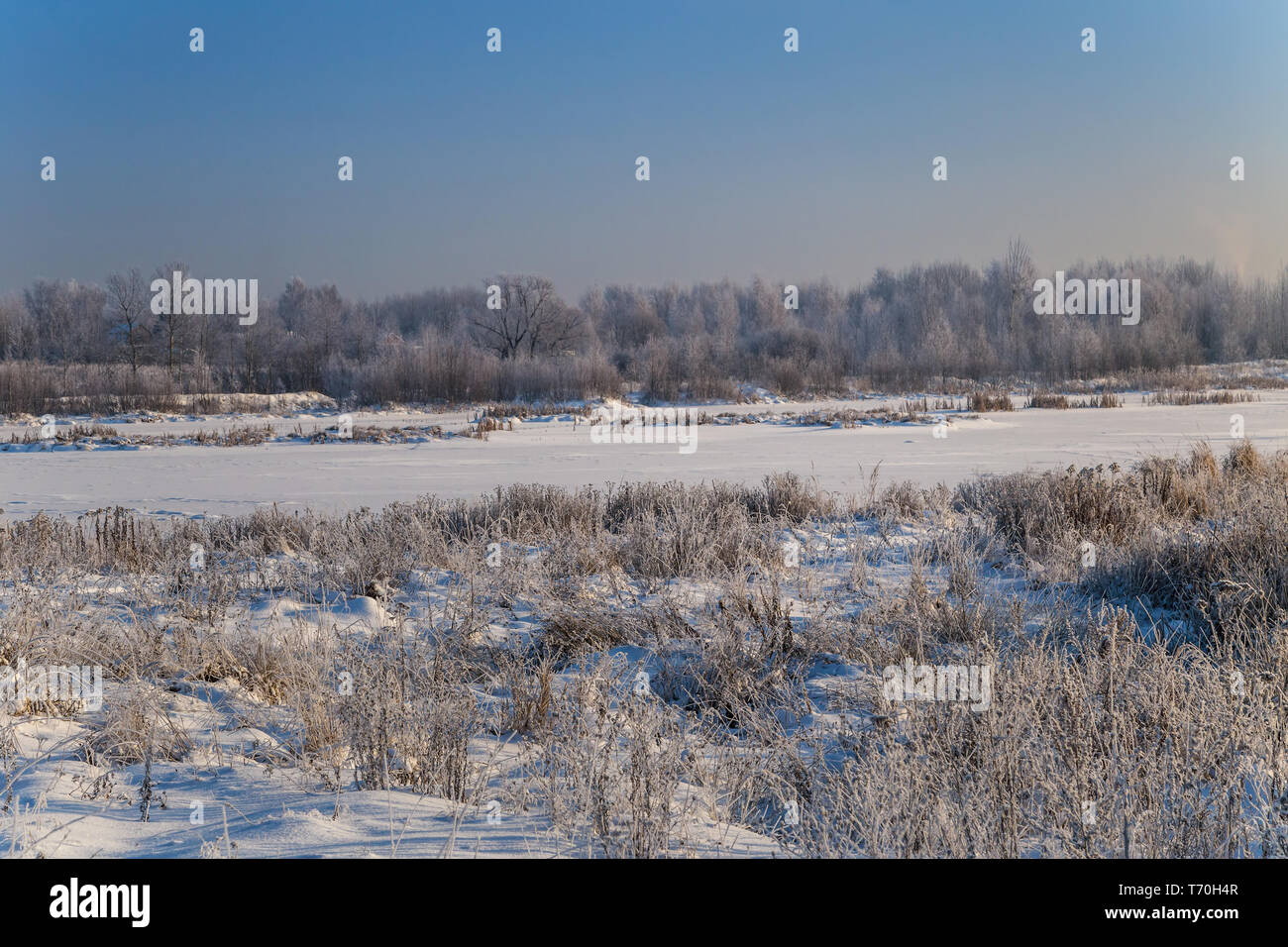 Hoarfrost plants hi-res stock photography and images - Alamy