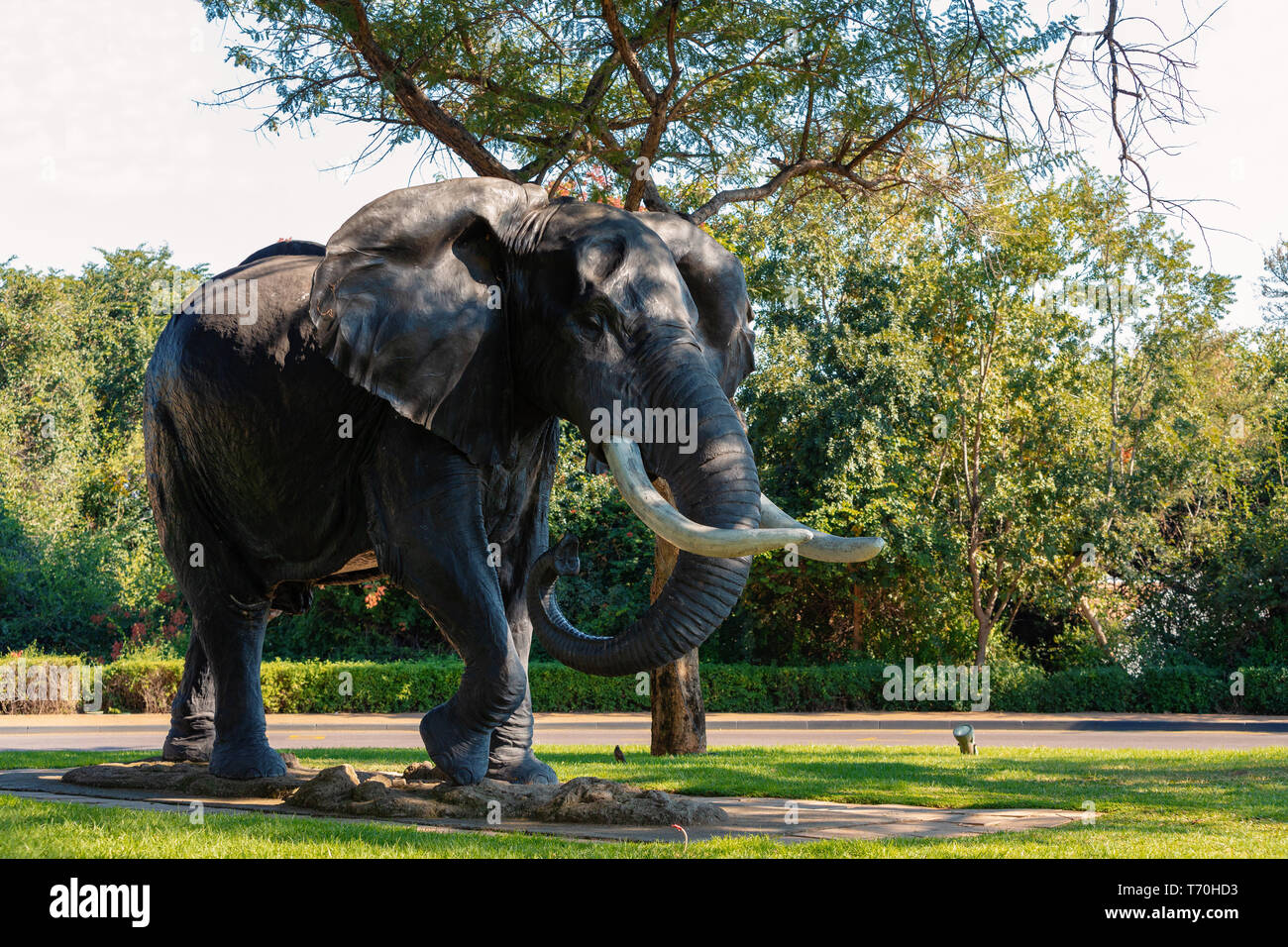Gold statue south africa hi-res stock photography and images - Alamy