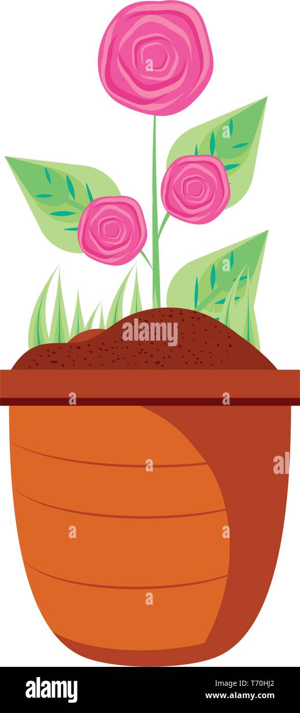 beautiful roses naturals in pot plant vector illustration design Stock ...
