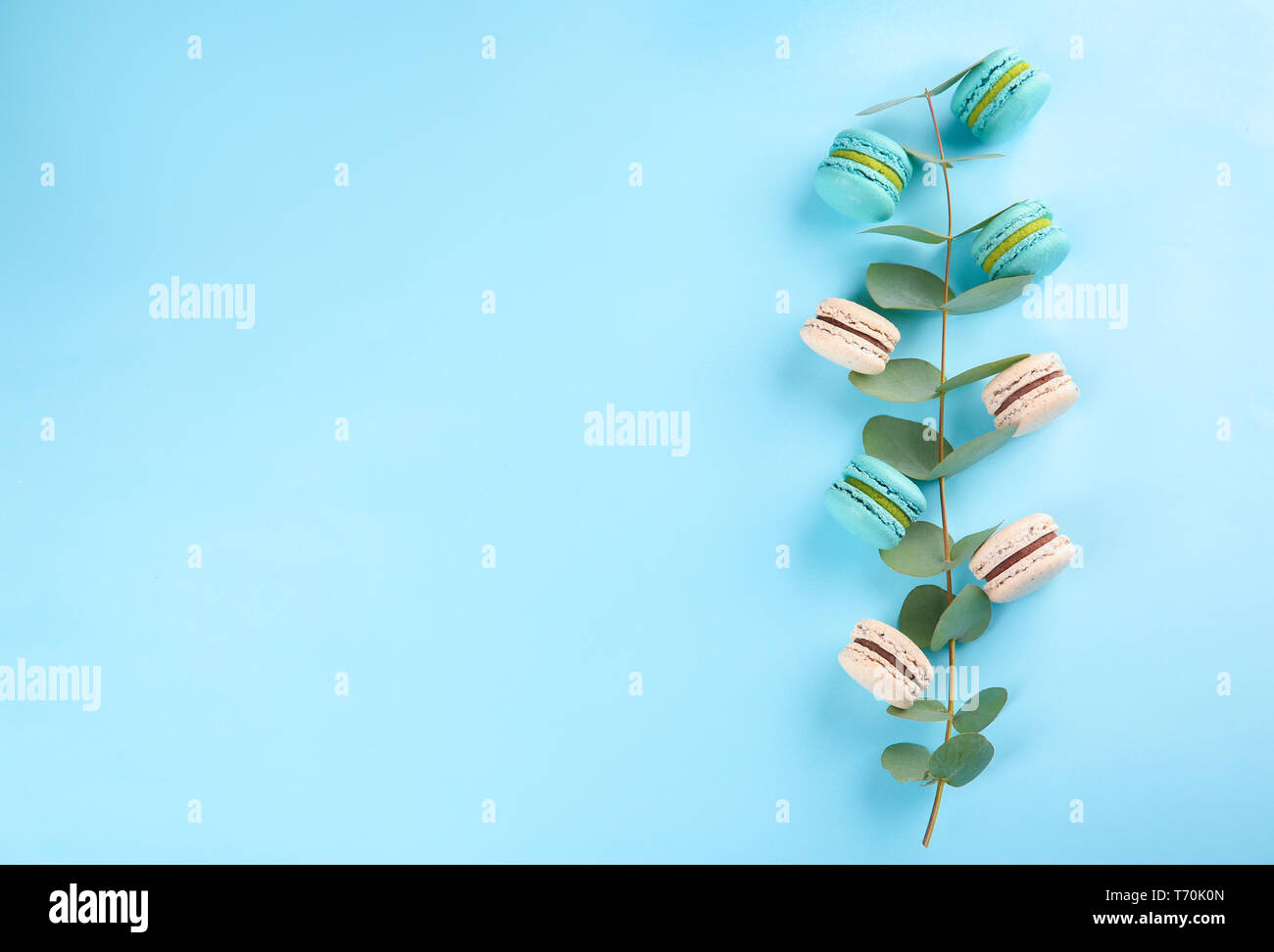 Delicious macarons and eucalyptus branch on color background Stock ...
