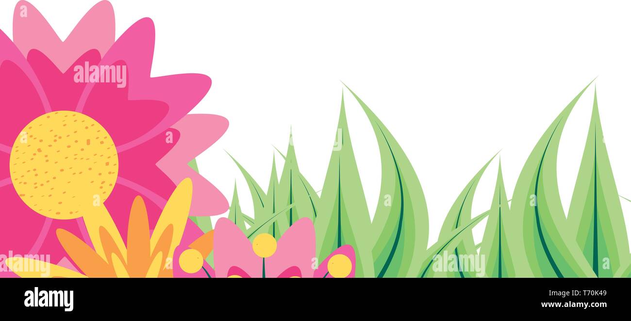 scene with flowers nature and grass vector illustration design Stock ...