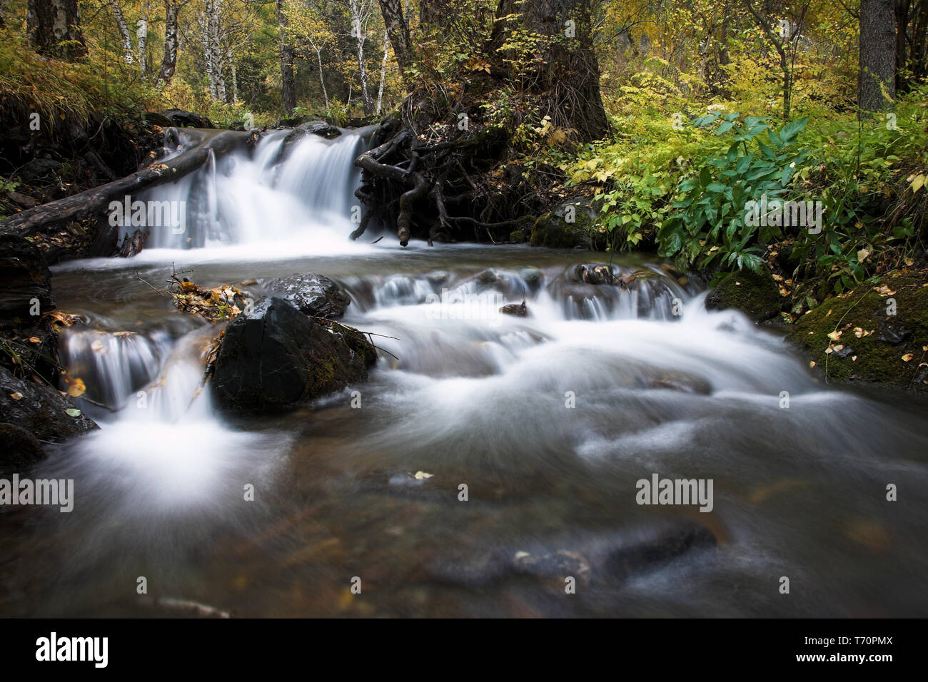 Small waterfalls hi-res stock photography and images - Alamy