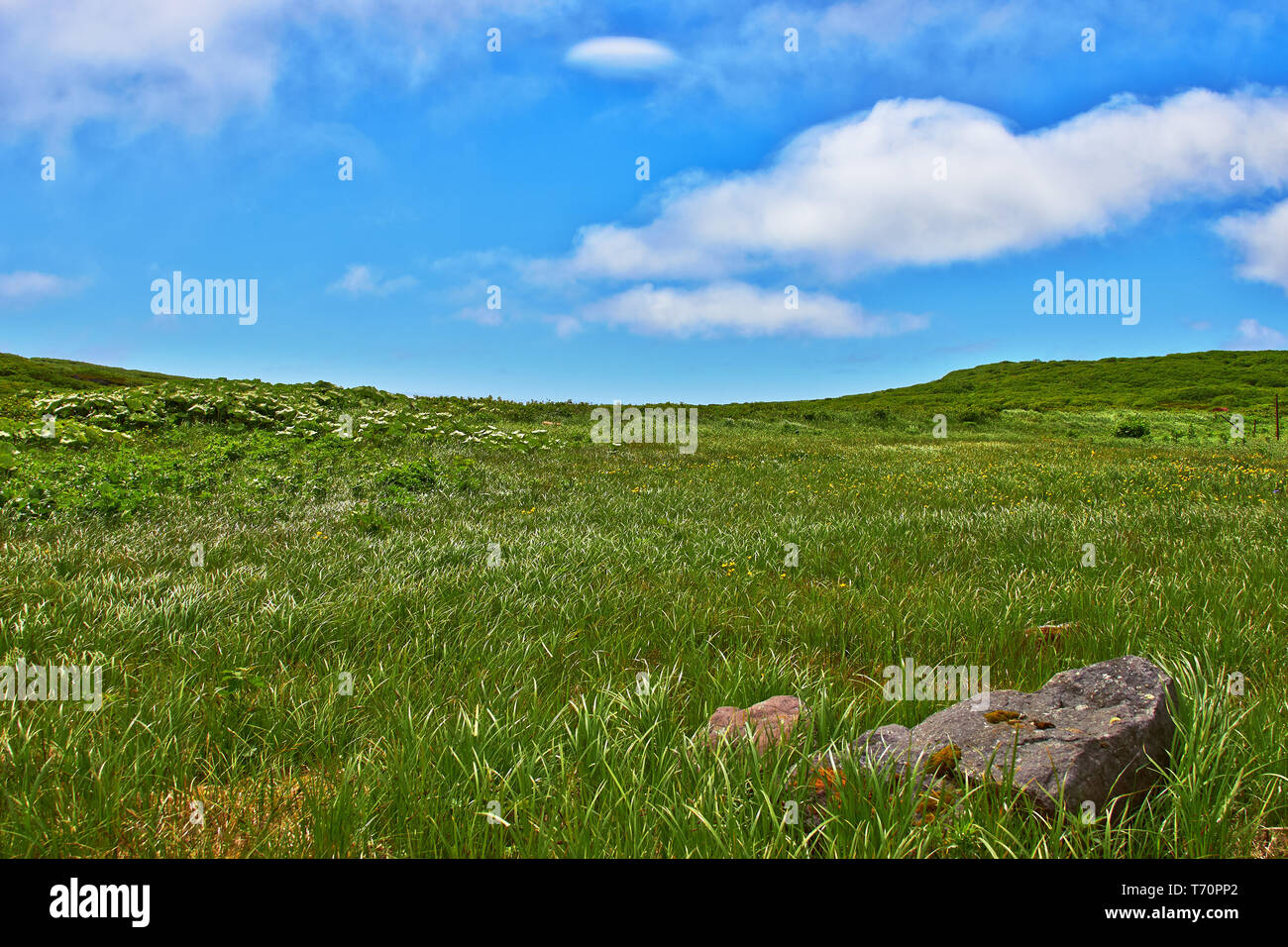 green grass hill Stock Photo - Alamy