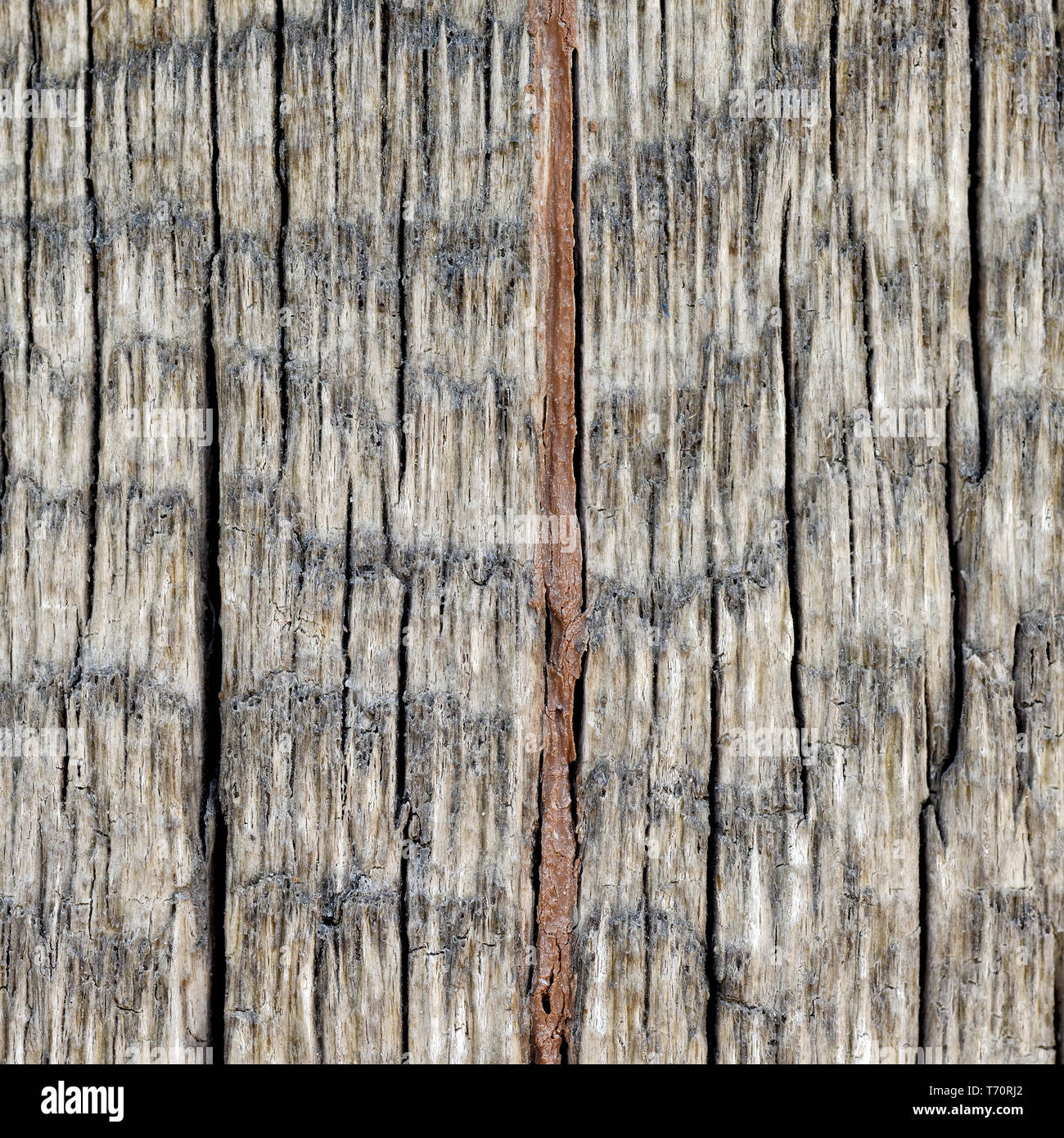 Backgrounds and textures: rough weathered wooden plank texture ...