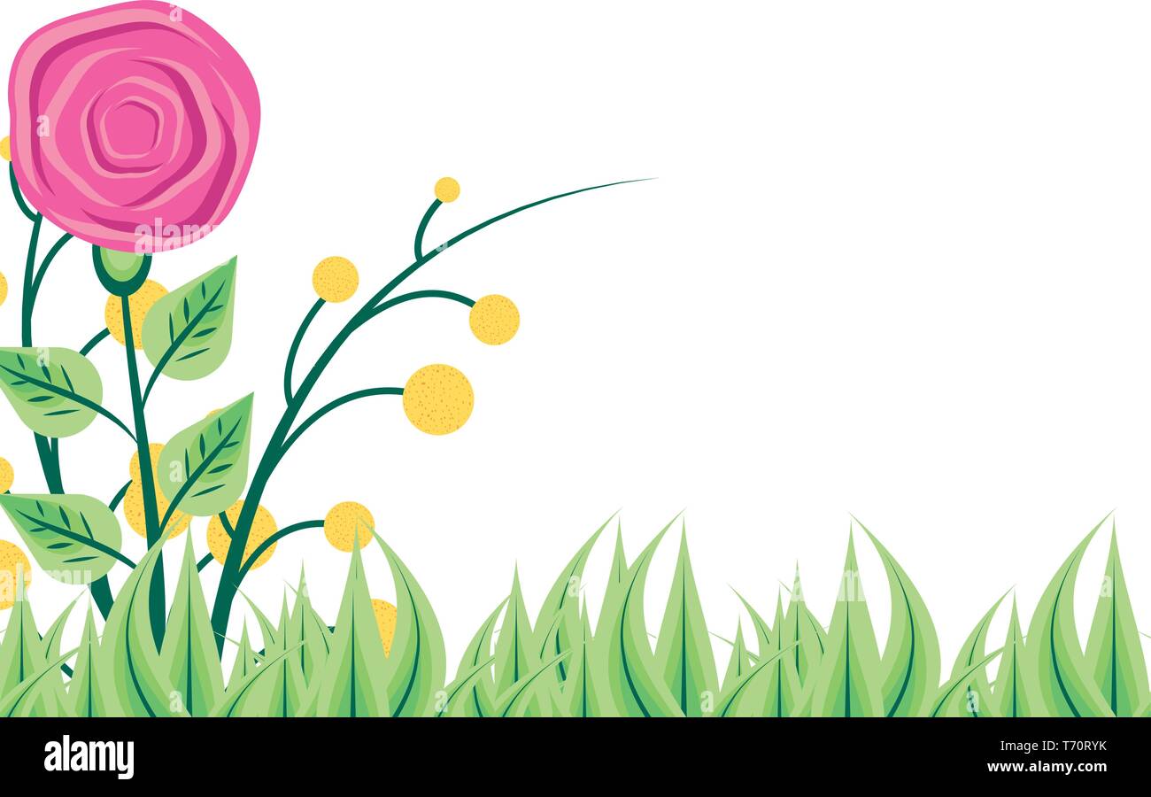 scene with flowers nature in branches and leafs vector illustration ...