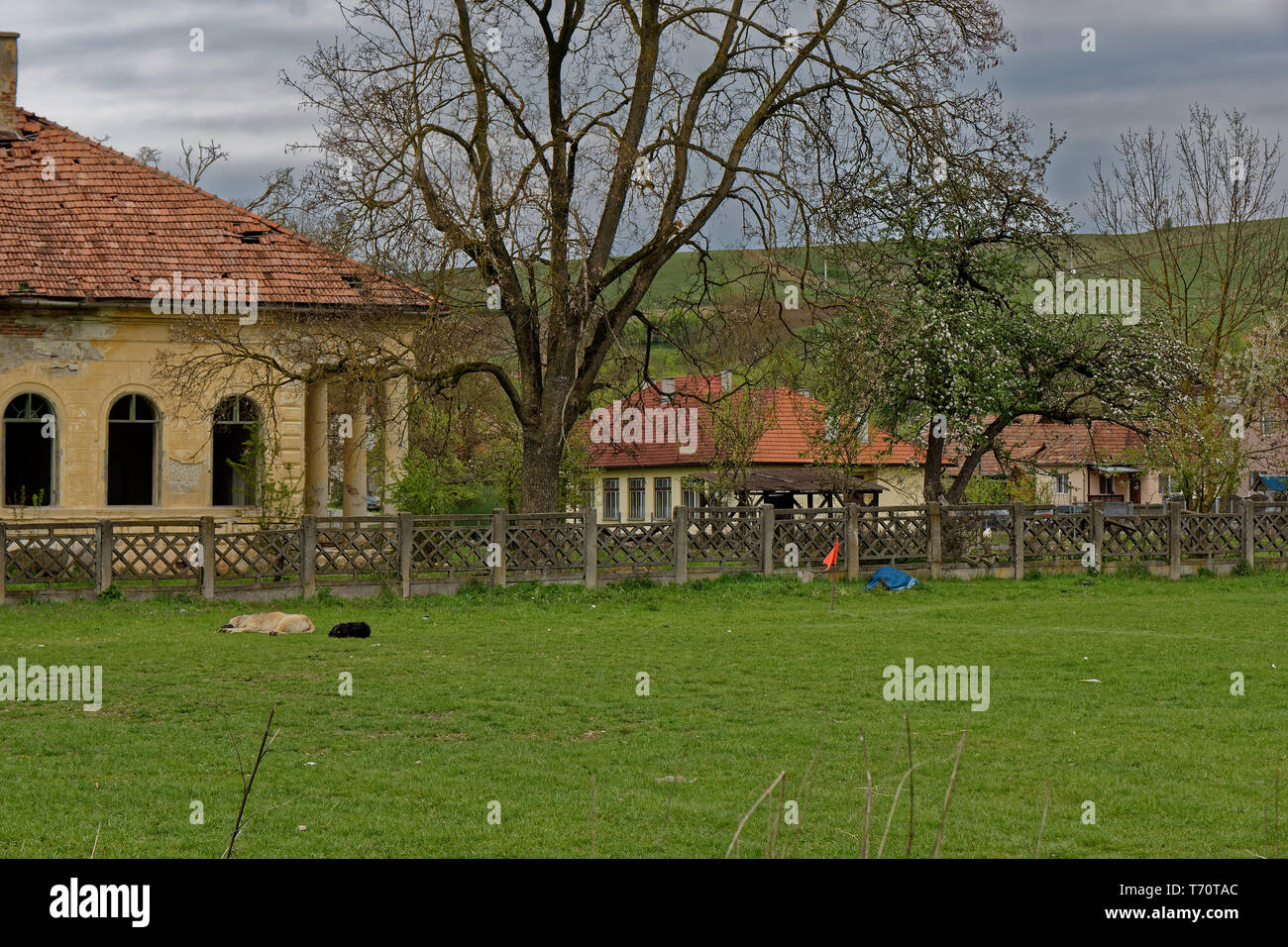 Kornis castle hi-res stock photography and images - Alamy