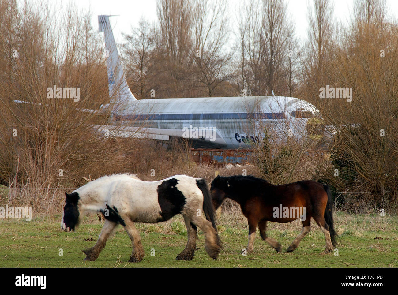 Scrapping a Boeing 707. Classic airliner at the end of its life being ...