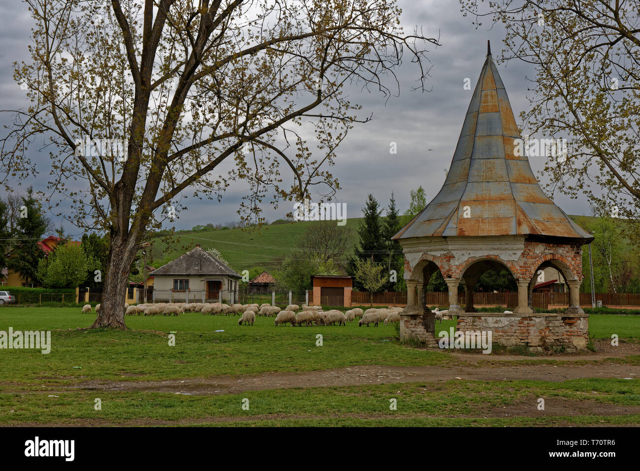Kornis castle hi-res stock photography and images - Alamy