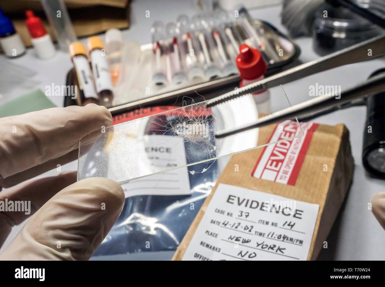 Forensic hair crime scene hi-res stock photography and images - Alamy