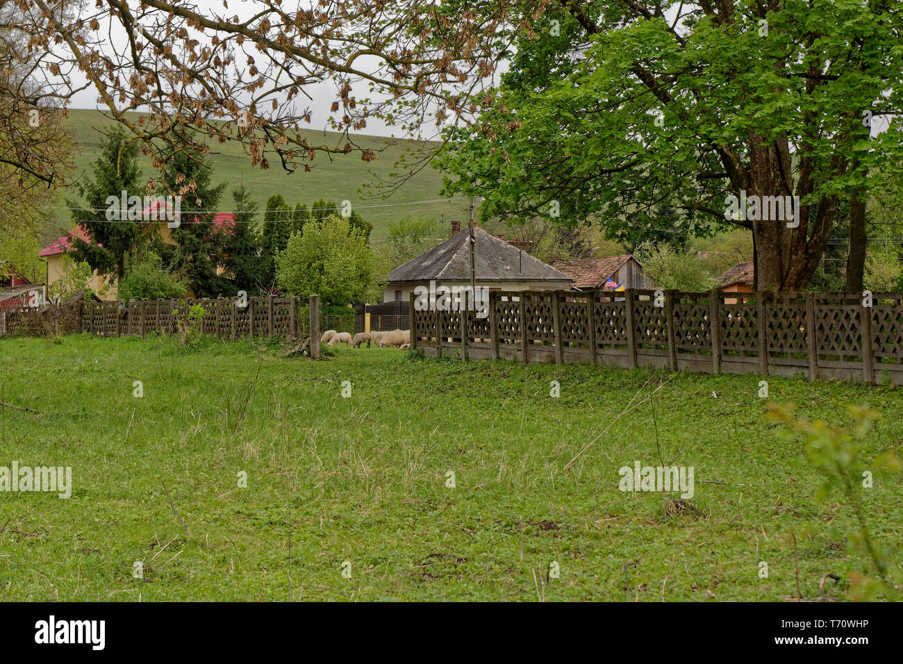 Kornis castle hi-res stock photography and images - Alamy