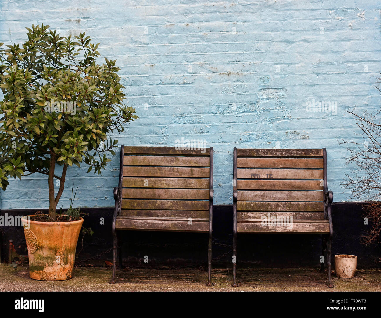 light blue painted brick wall with two wooden seats, a terracotta plant ...