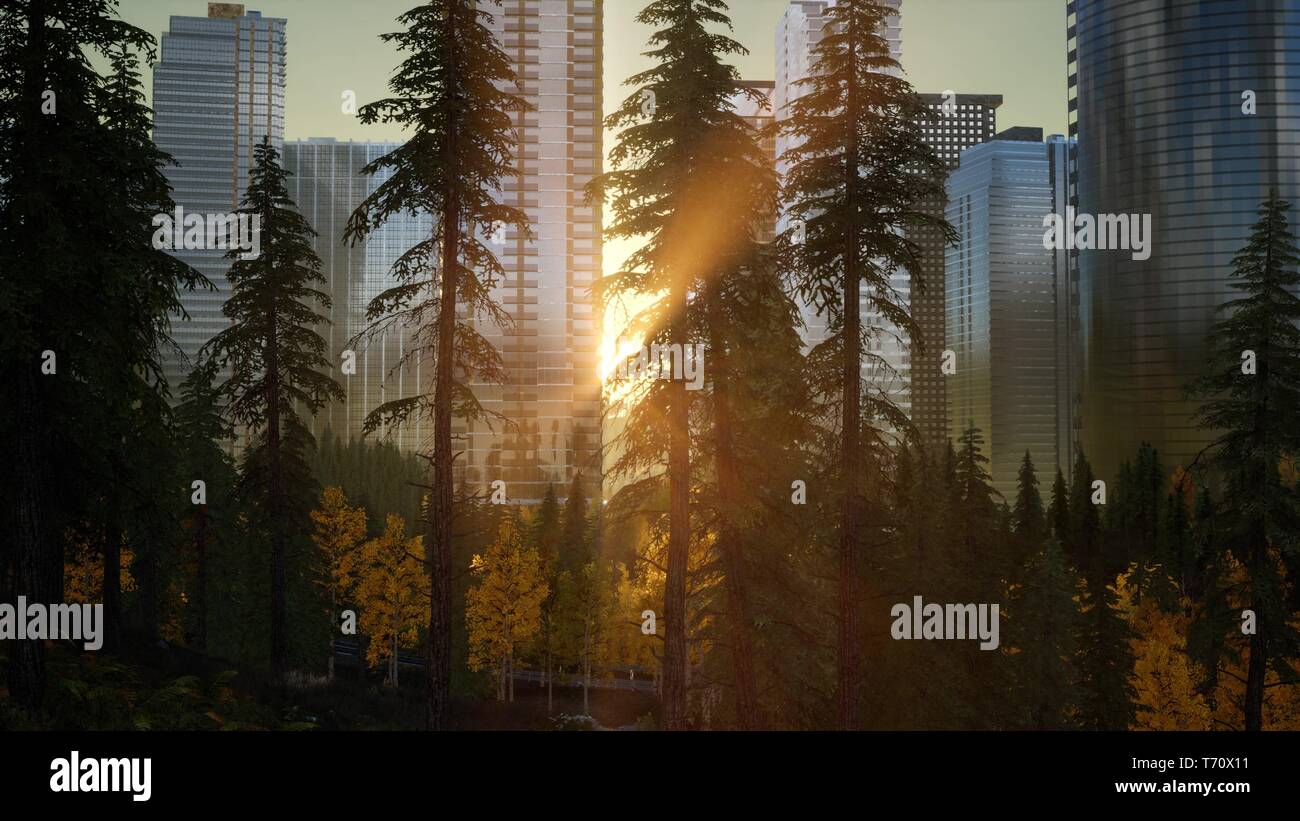 Forest hillside and city landscape Stock Photo - Alamy