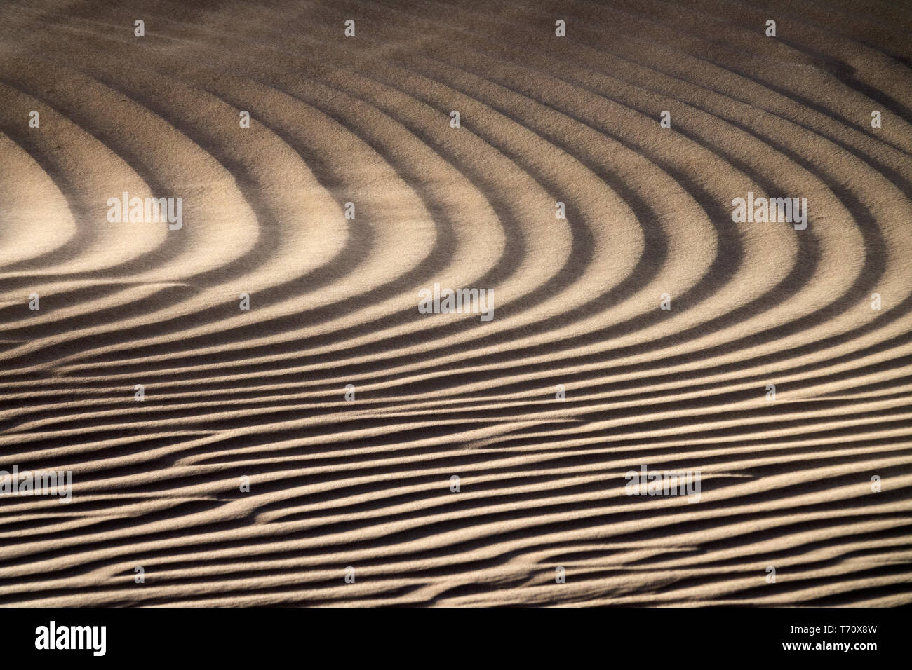 Wind blowing over sand dunes Stock Photo - Alamy