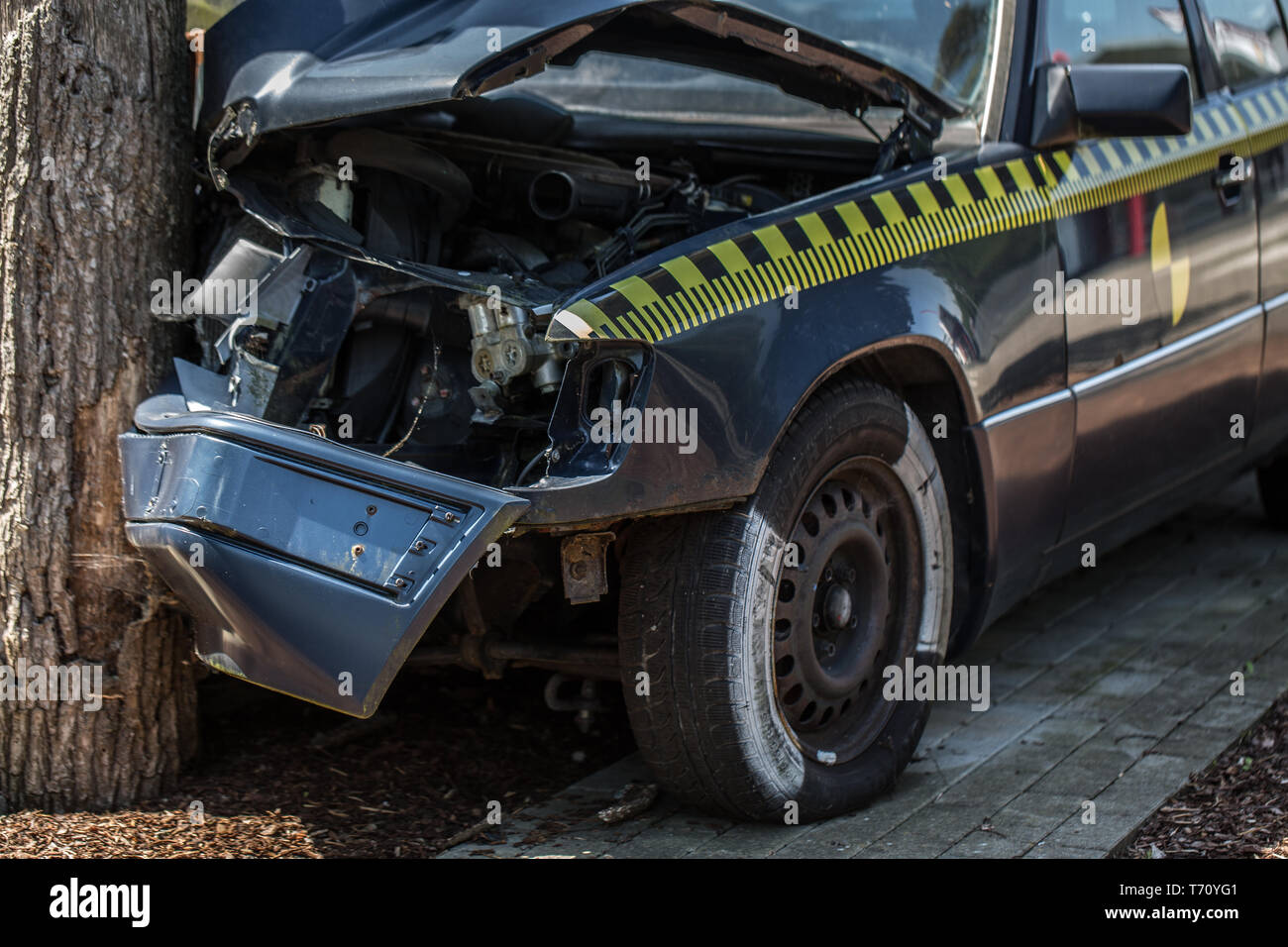 Collision of car and tree Stock Photo - Alamy