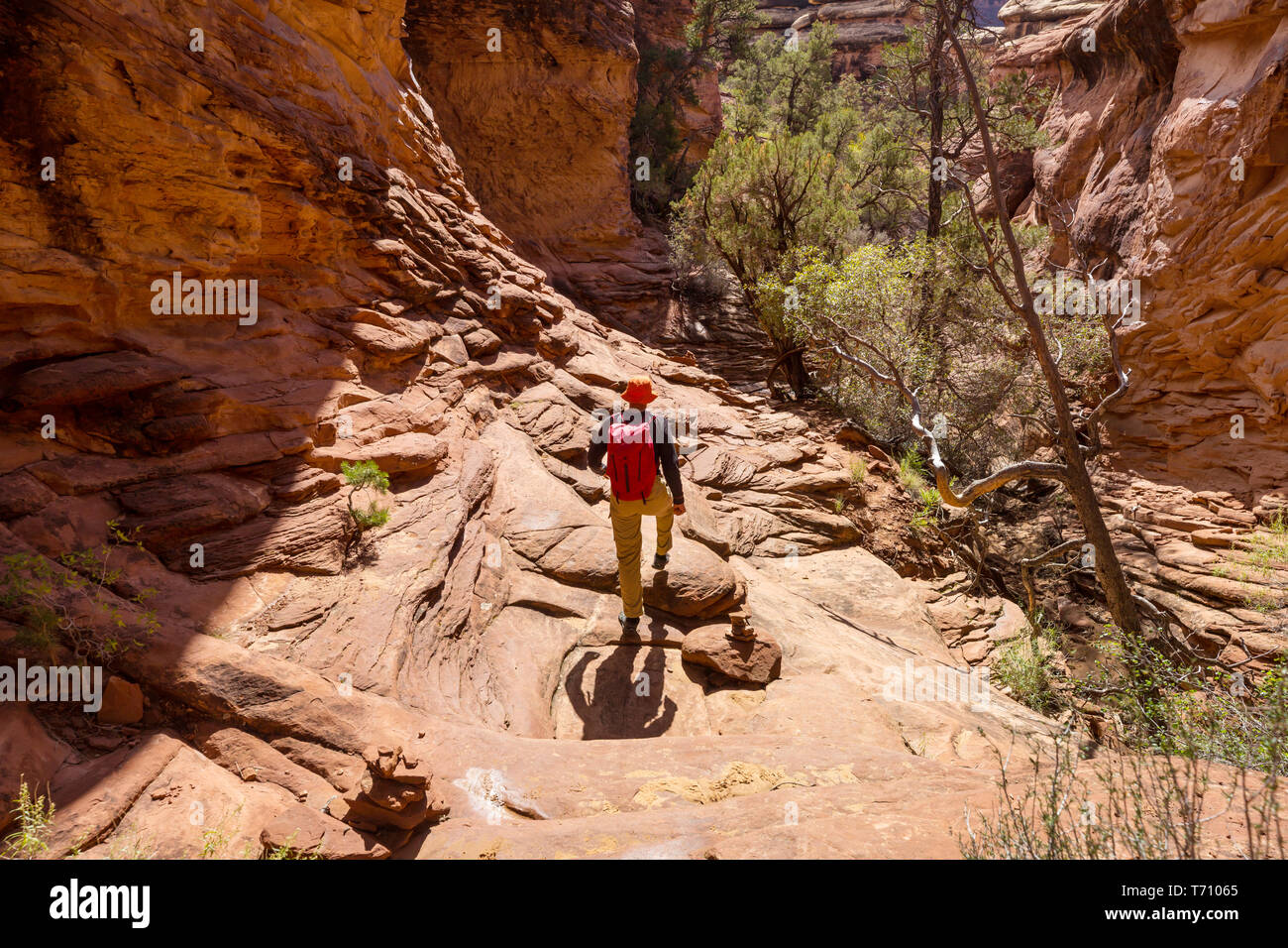 Hike in Utah Stock Photo - Alamy
